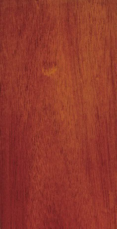 Les bois: l’Acajou - Astuces Pratiques